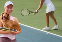 Maja Jelisic Cooper: Ambiciozni i realni ciljevi su ključni za biznis ...